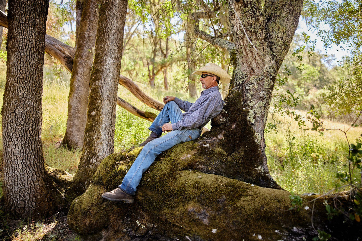 Country adventures with Hardy: on the ranch with Chad Justice